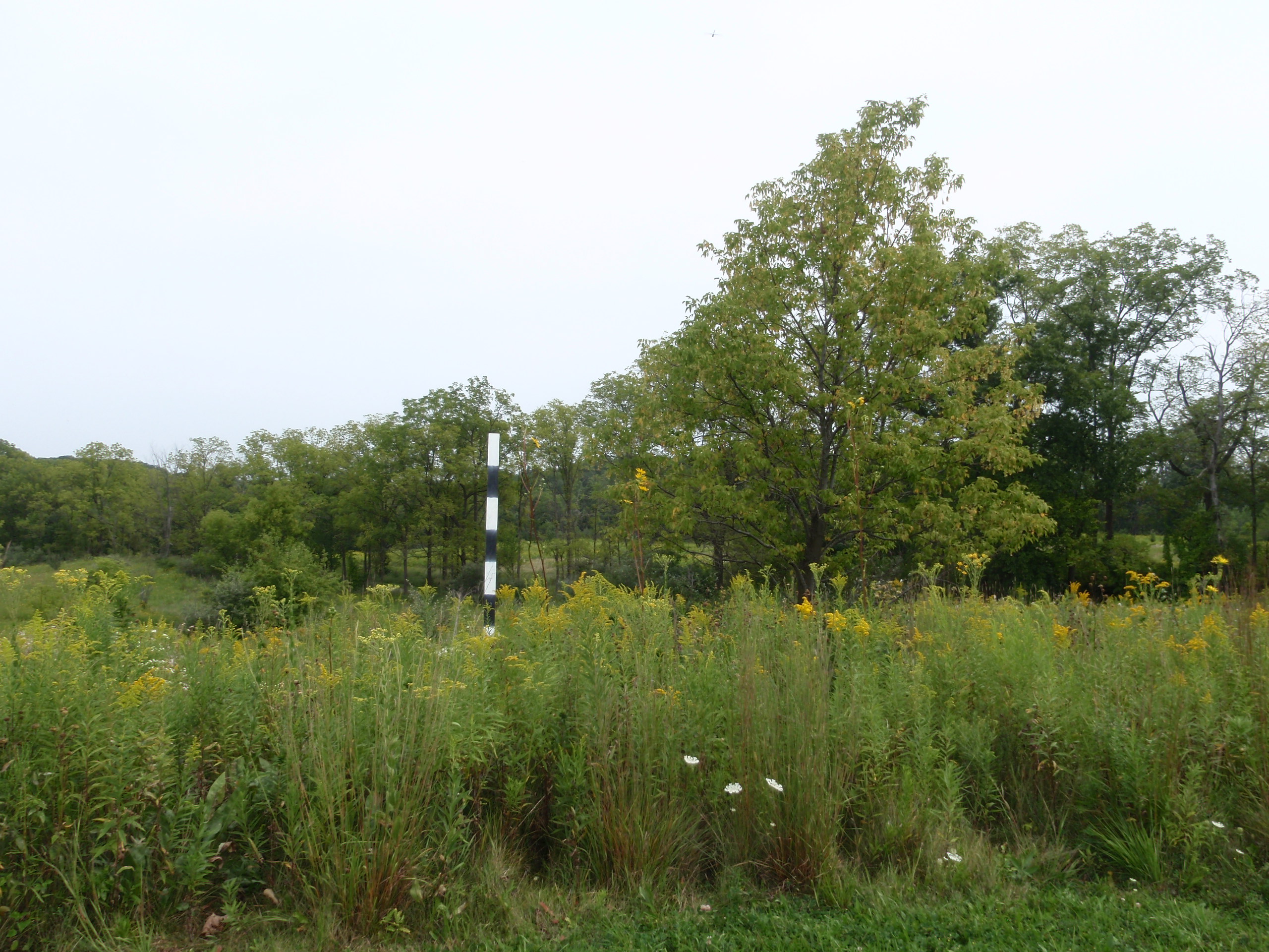 Photo Monitoring: Only time can tell | Natural Areas Notebook