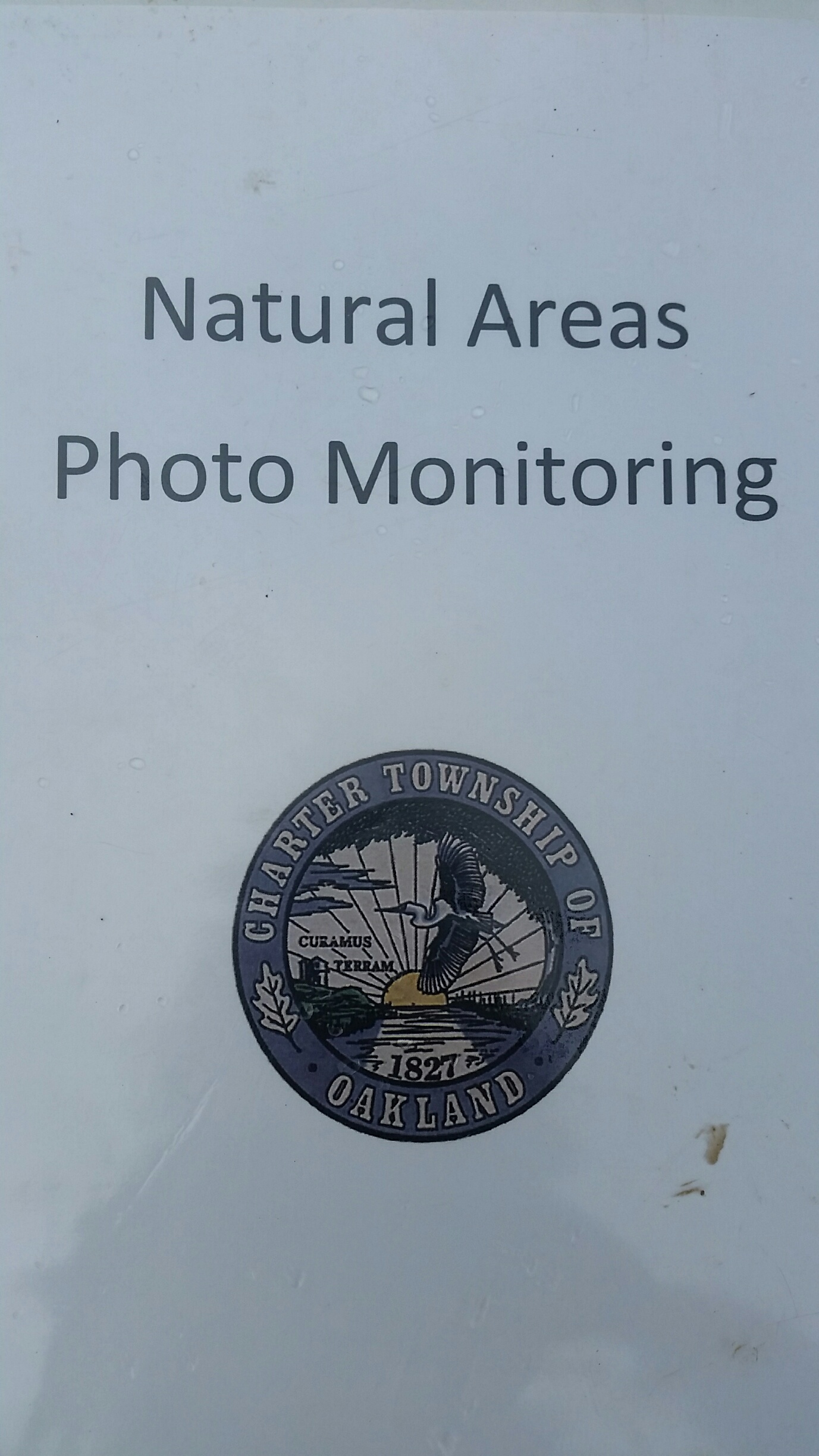 Photo Monitoring: Only time can tell | Natural Areas Notebook