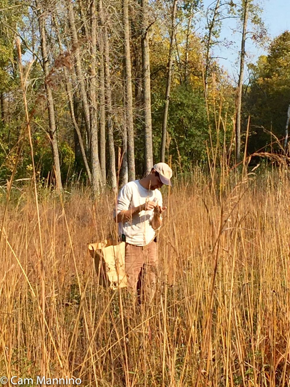 Natural Areas Notebook | Natural Areas Stewardship in Oakland Township ...