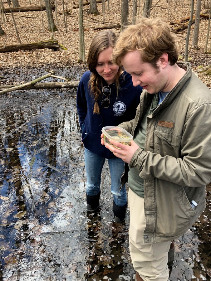 Vernal Pools: A Wetland Wonderland | Natural Areas Notebook