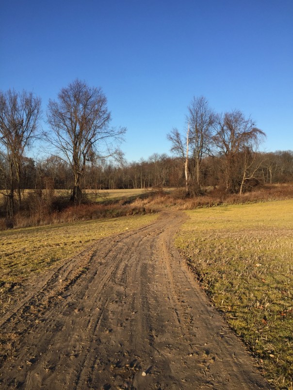 Watershed Ridge: Changes Afoot! | Natural Areas Notebook