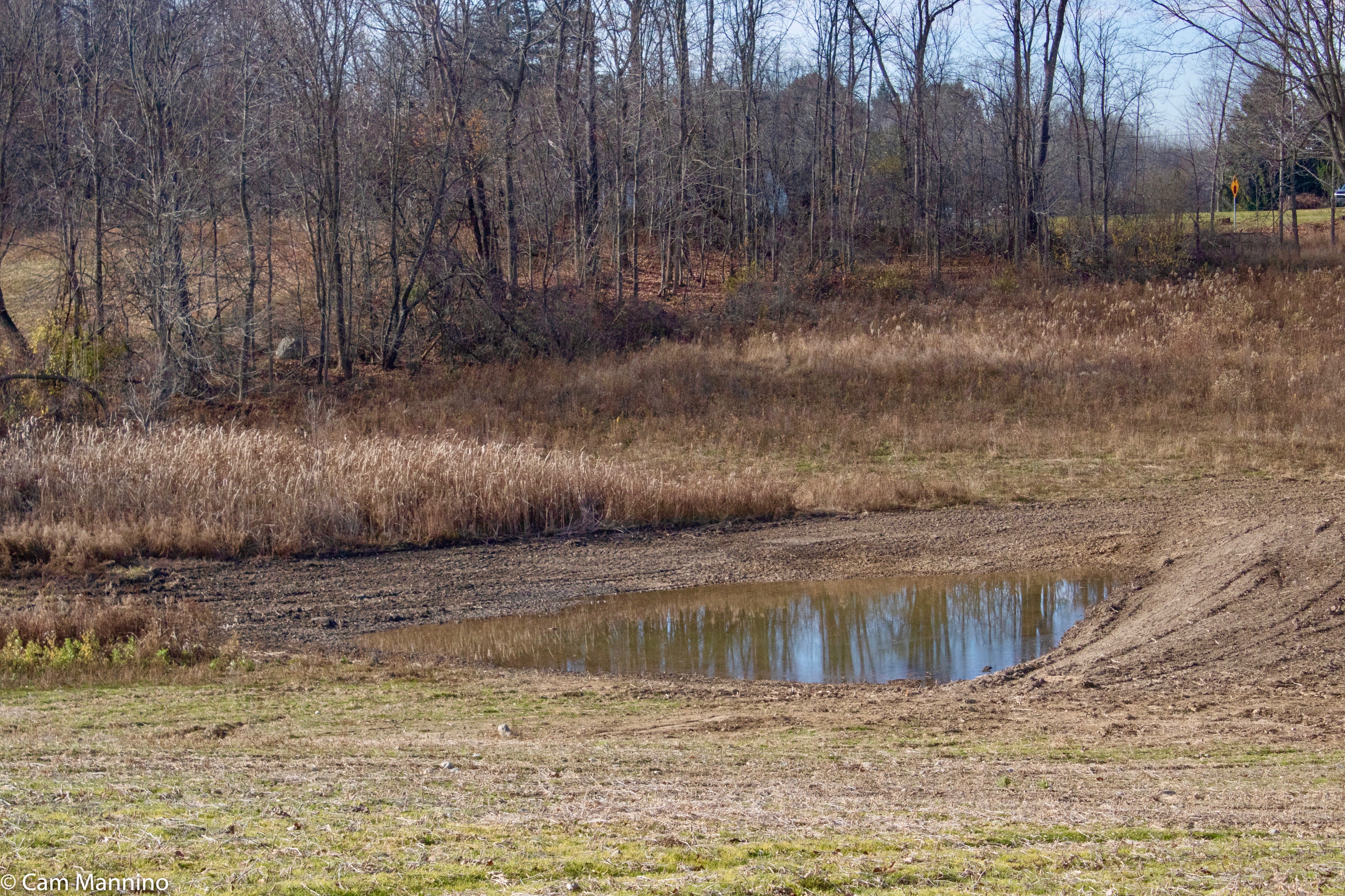 wetland-in-field-2-oct.-wr-1 | Natural Areas Notebook