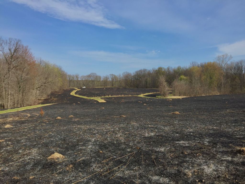 Prescribed Burn Schedule & Training | Natural Areas Notebook