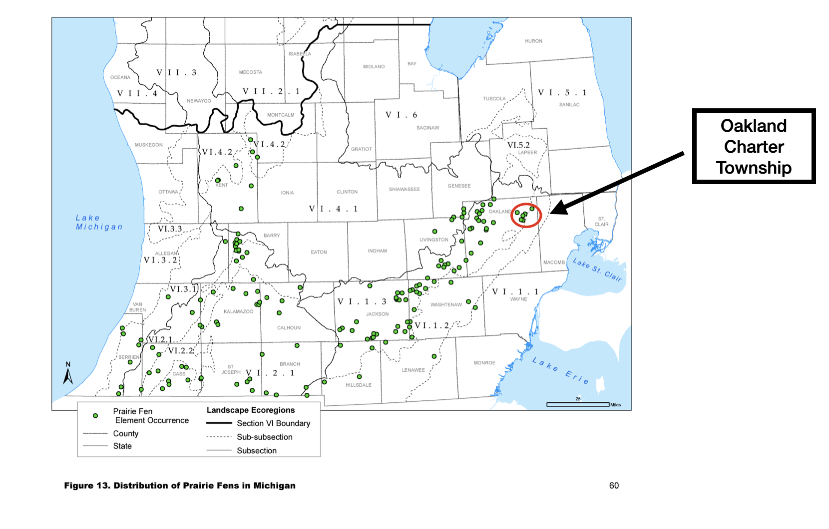 Prairie Fen Series – Meet our Dynamic Peatland! | Natural Areas Notebook